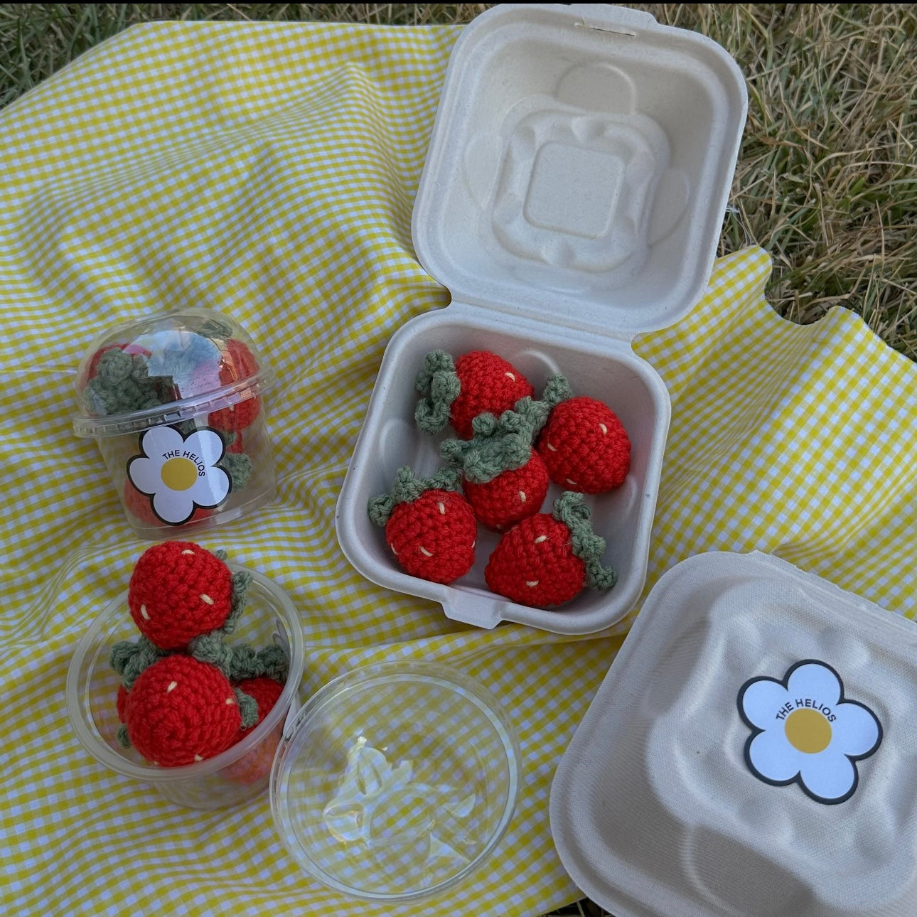 Shop – The Helios Floral